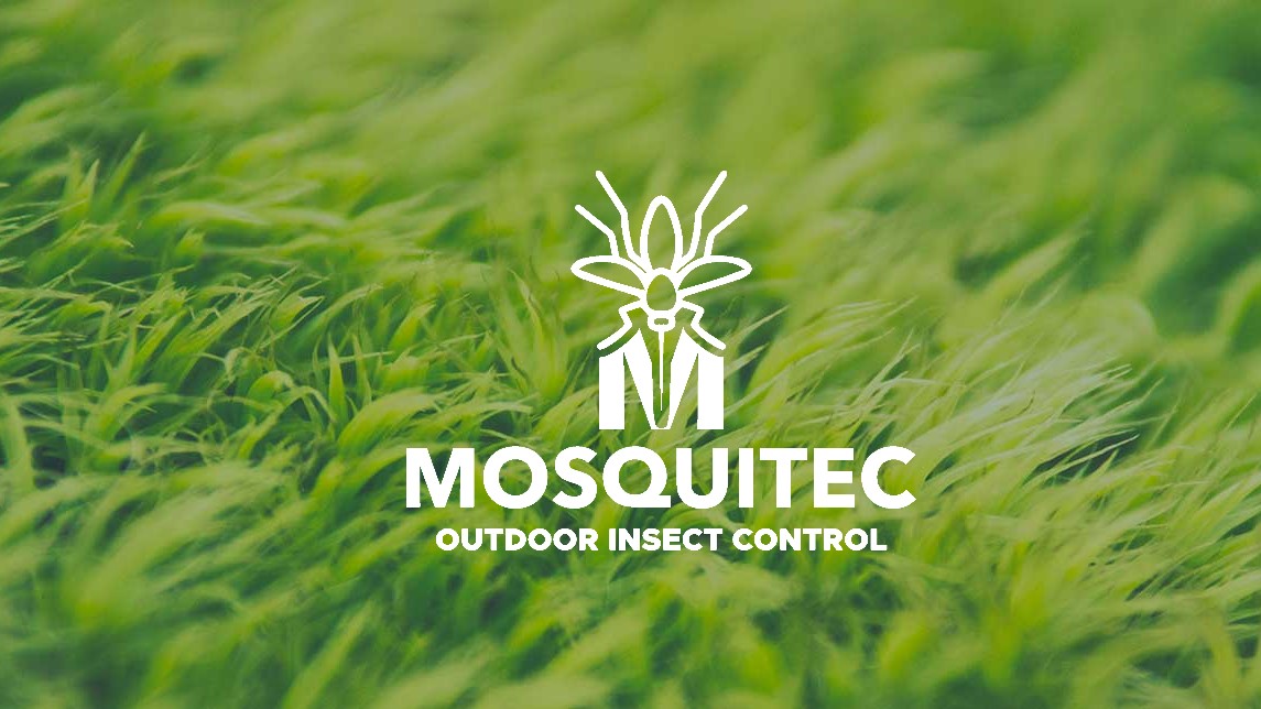 Insetos Voadores - Mosquitec